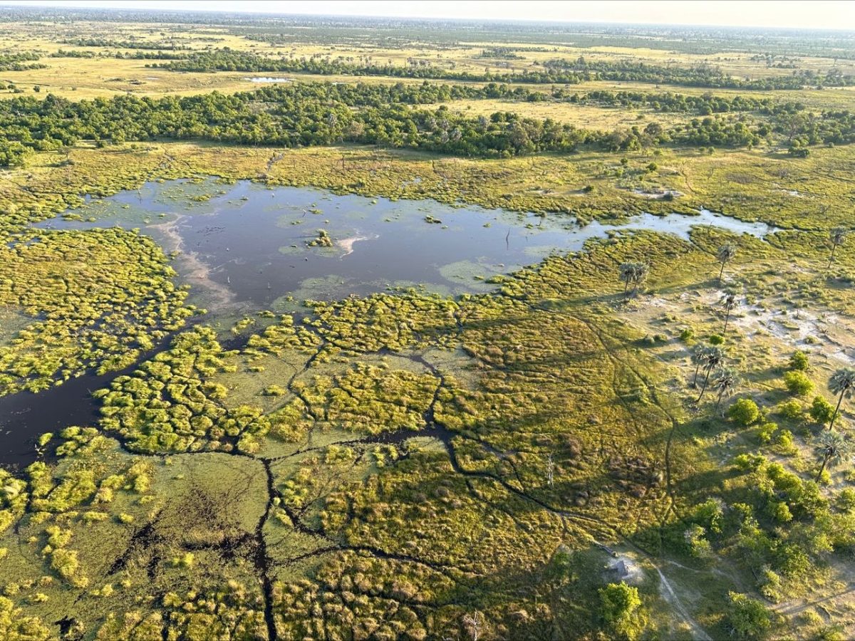 African Microbiome Project – African Microbiome Project